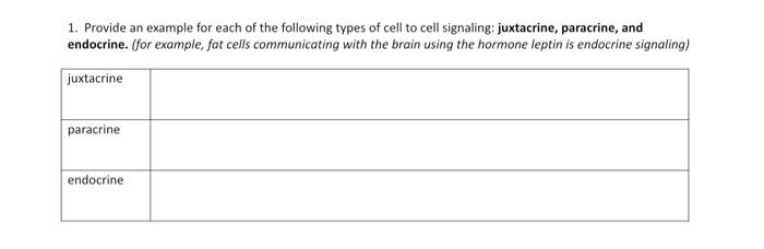 Solved 1 Provide An Example For Each Of The Following Types