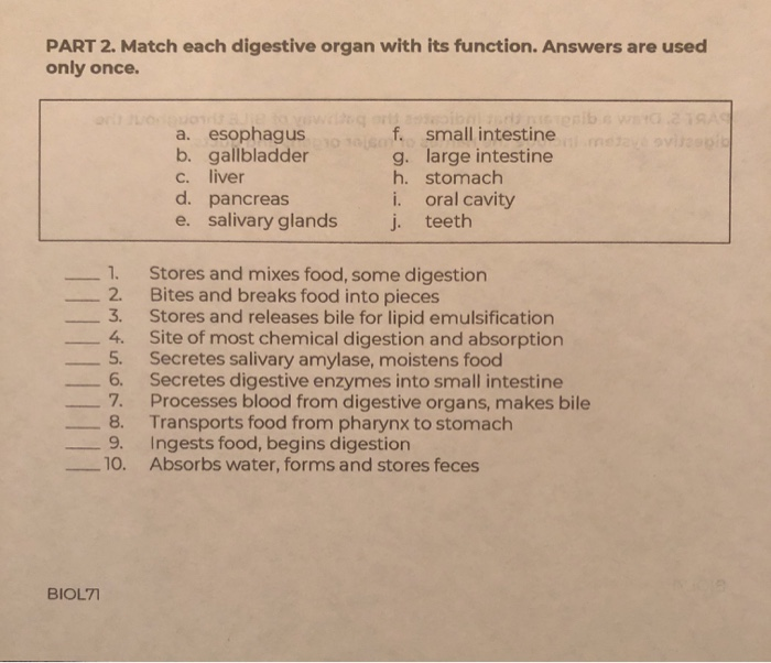 Solved PART 2. Match each digestive organ with its function. | Chegg.com