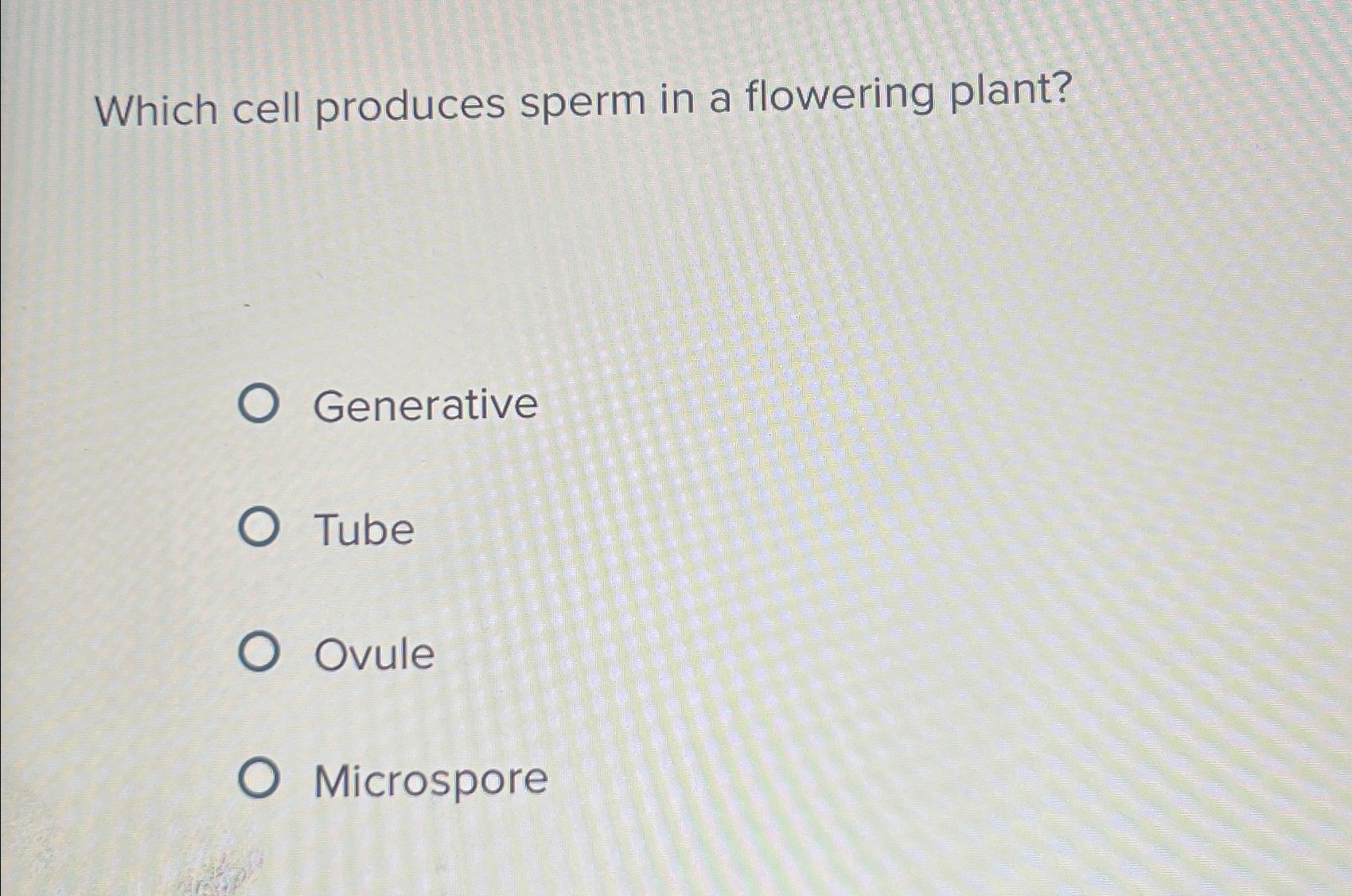 Solved Which cell produces sperm in a flowering | Chegg.com