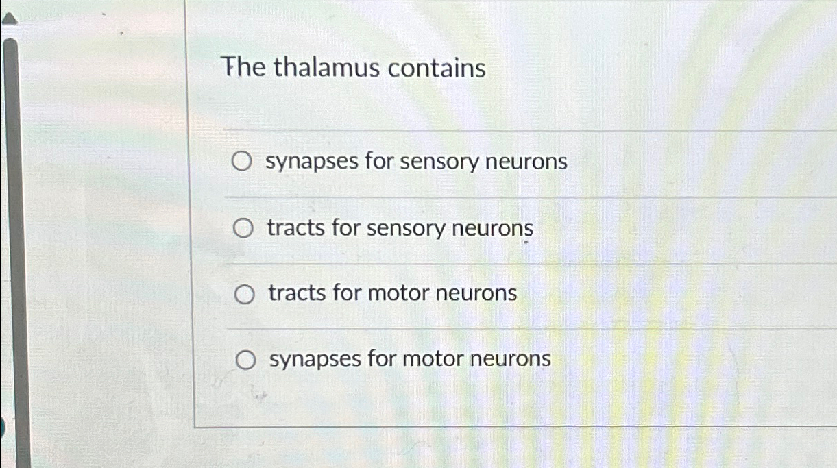 Solved The thalamus containsq,synapses for sensory | Chegg.com