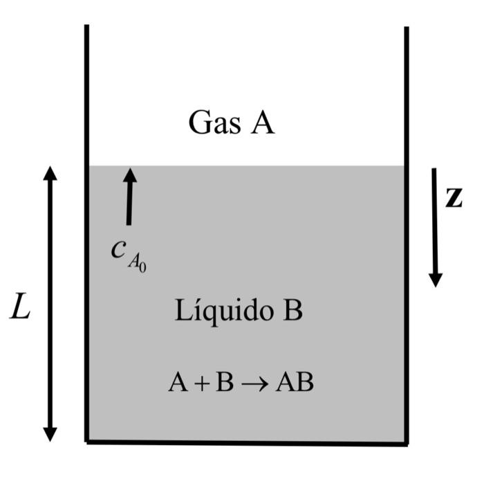 Solved A gas A dissolves in a liquid B and diffuses within | Chegg.com
