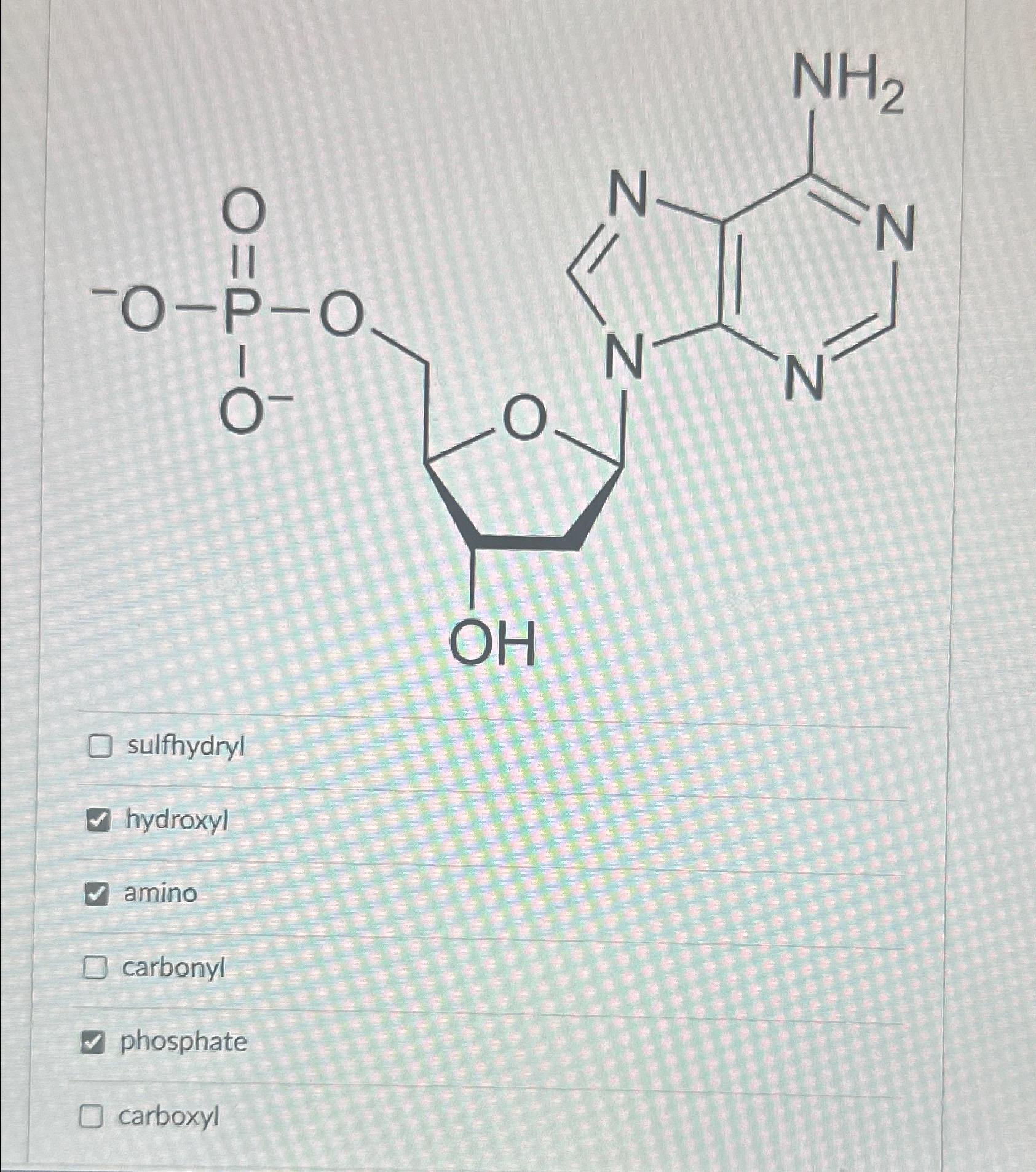 Solved sulfhydryhydroxylaminocarbonylphosphatecarboxyl | Chegg.com