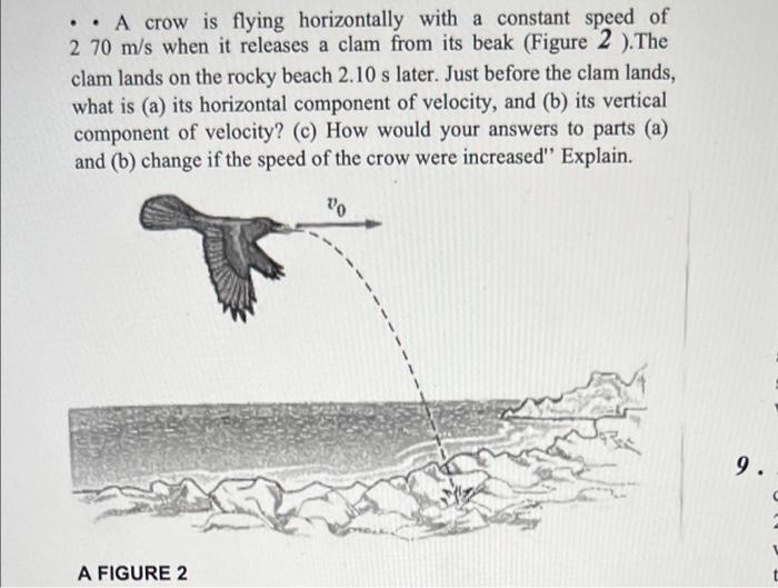 Solved ..A crow is flying horizontally with a constant speed | Chegg.com