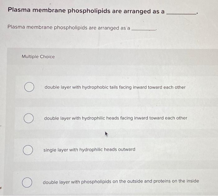 Solved Plasma membrane phospholipids are arranged as a | Chegg.com Solved Plasma membrane phospholipids are arranged as a | Chegg.com
