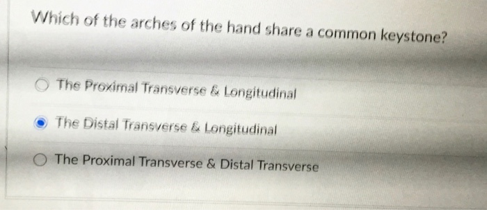 Solved Which of the arches of the hand share a common | Chegg.com