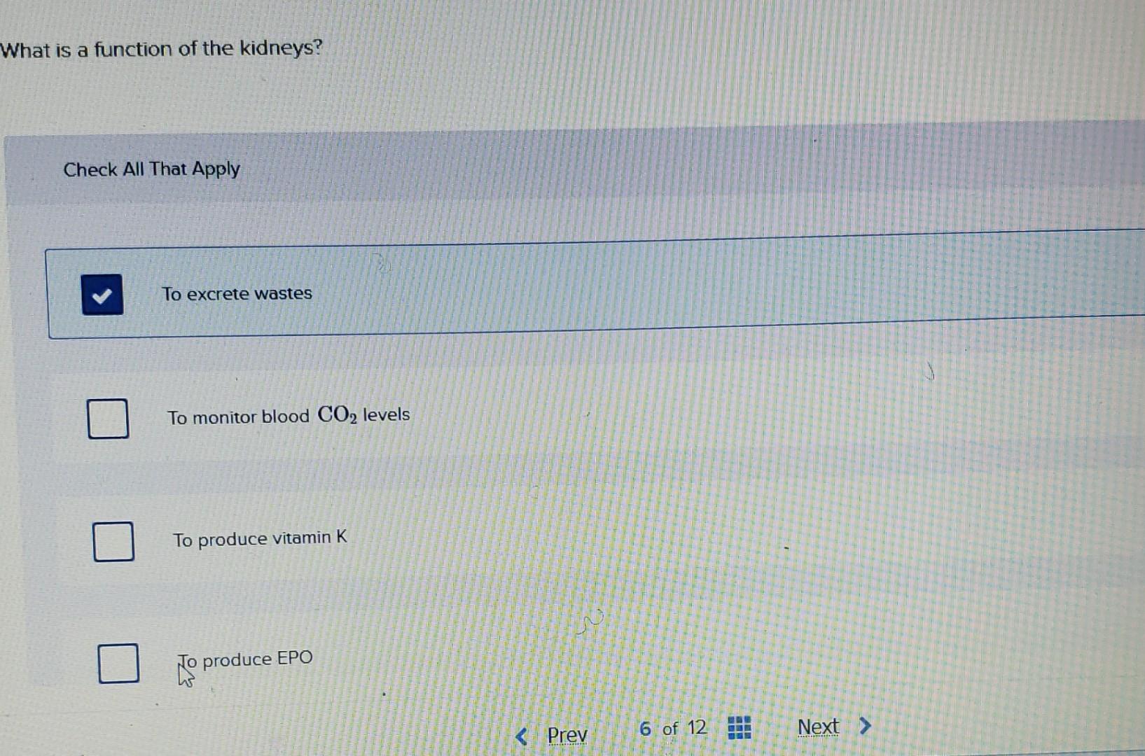 Solved What is a function of the kidneys? Check All That | Chegg.com