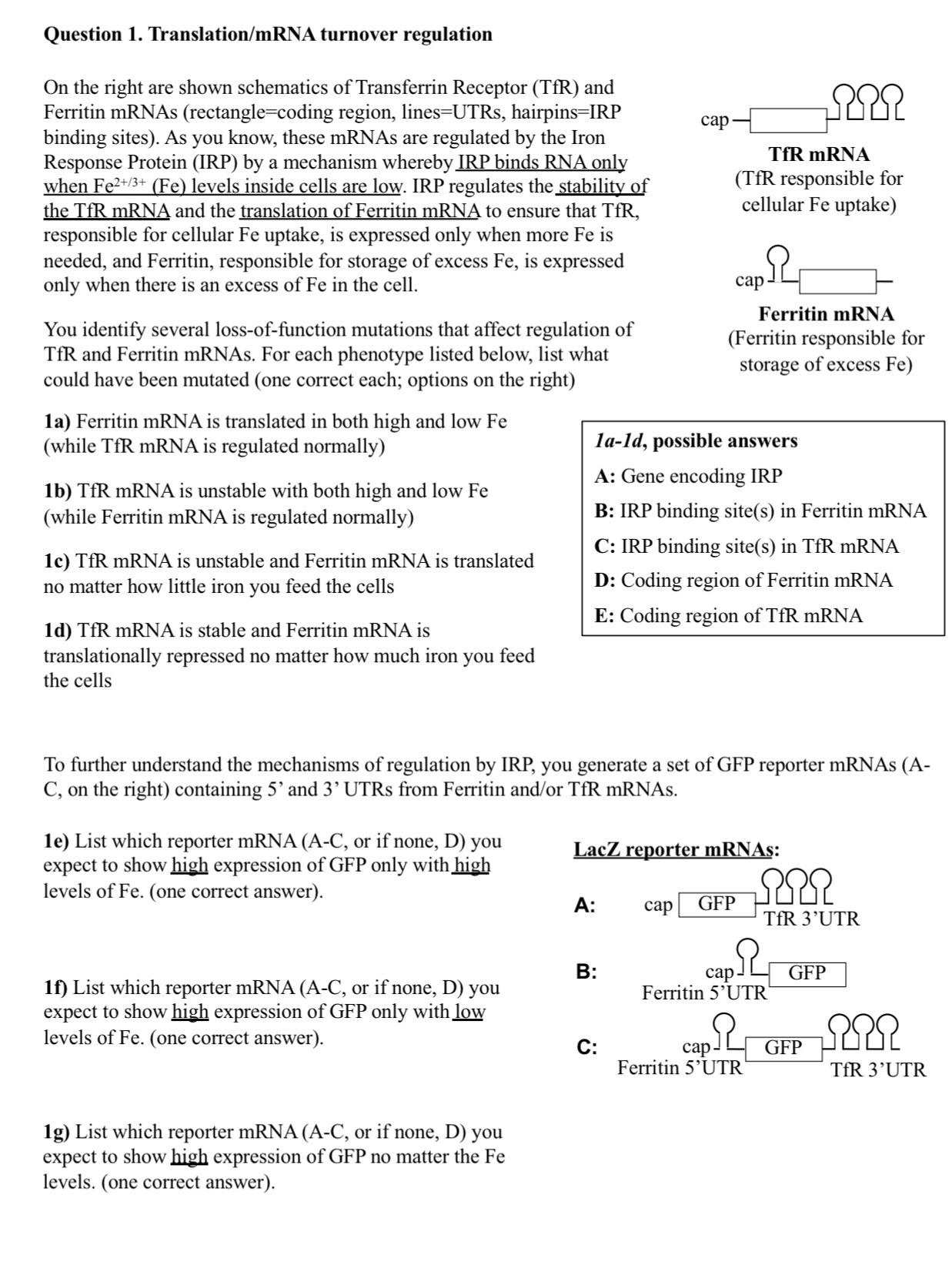 Solved Question 1. ﻿Translation/mRNA turnover regulationOn | Chegg.com