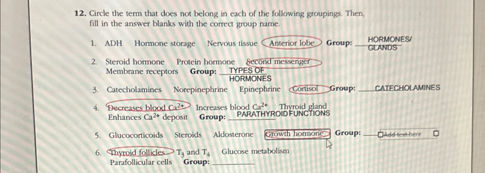 Solved Circle the term that does not belong in each of the | Chegg.com