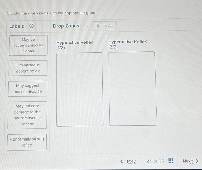 Solved Classify the given items with the appropriate group. | Chegg.com