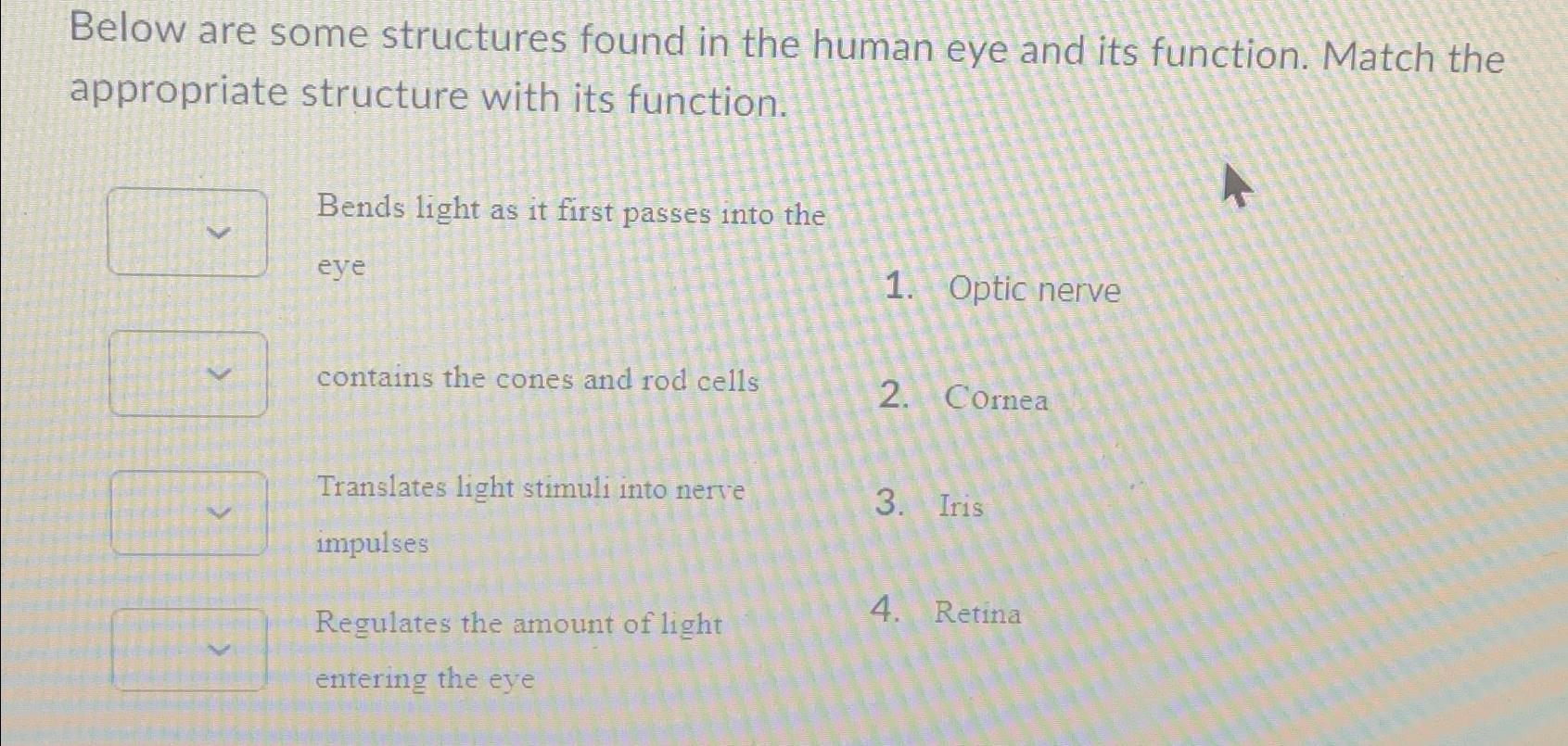 Solved Below are some structures found in the human eye and | Chegg.com