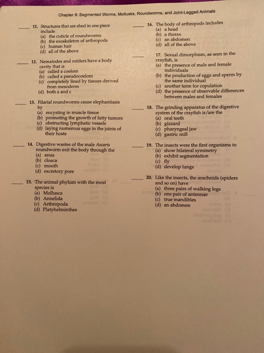 Solved Chapter 9: Segmented Worms, Mollusks, Roundworms, and | Chegg.com