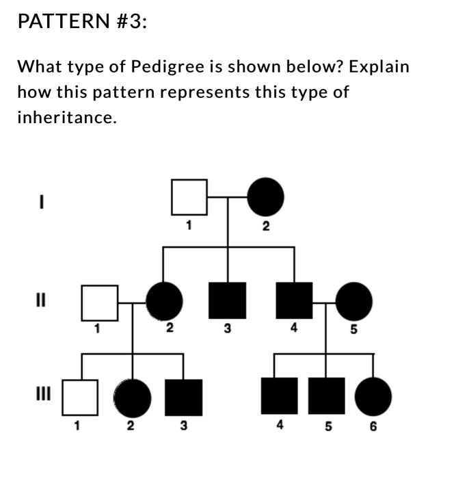 Solved PATTERN #3: What type of Pedigree is shown below? | Chegg.com