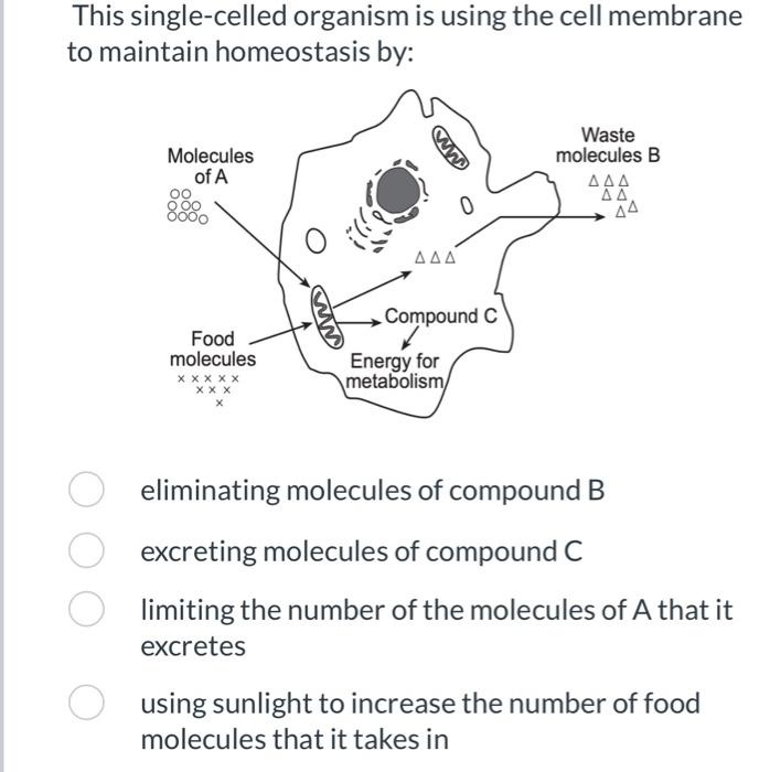 Solved This single-celled organism is using the cell | Chegg.com