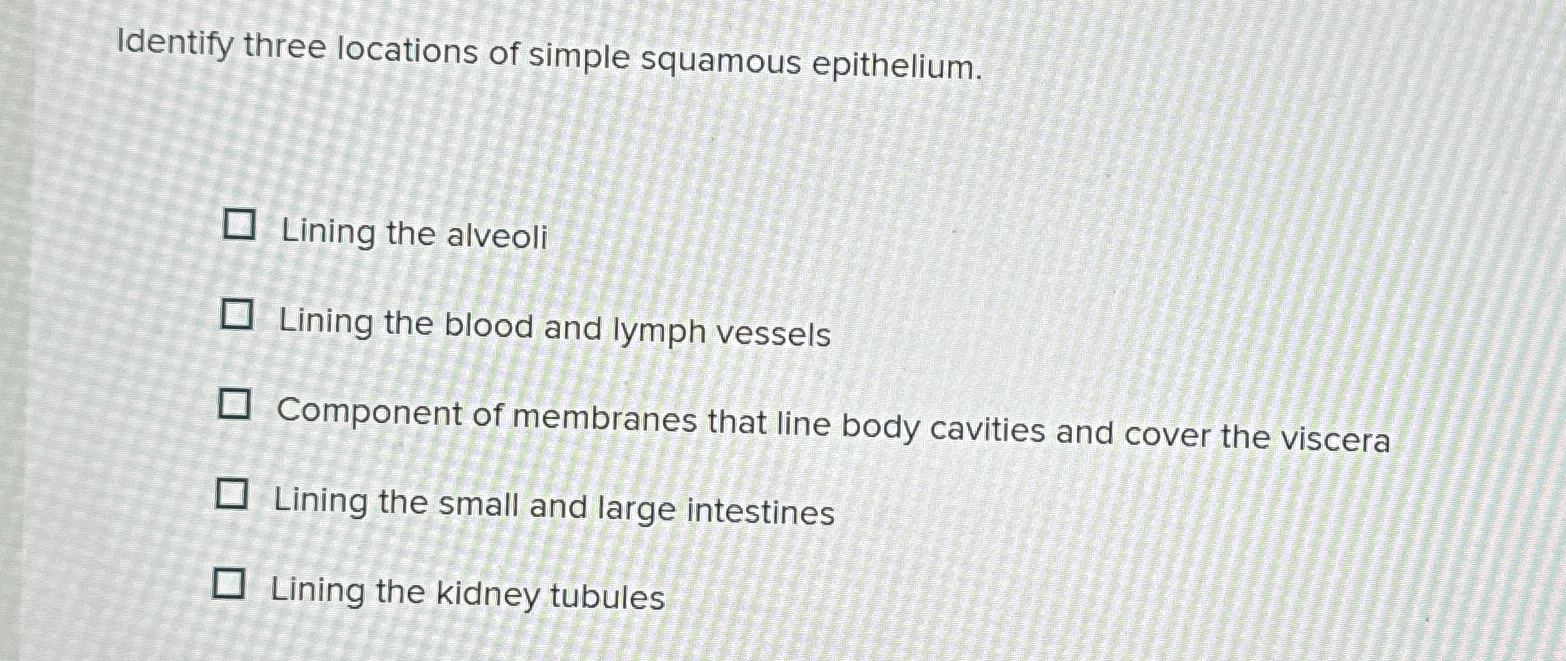 Solved Identify three locations of simple squamous | Chegg.com