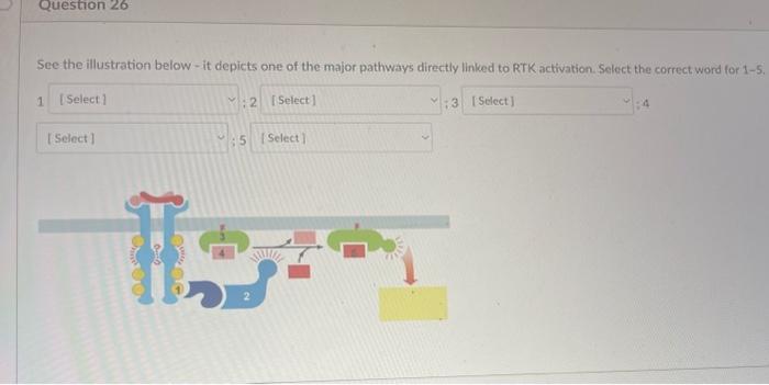 See the illustration below - it depicts one of the | Chegg.com