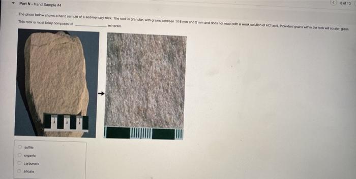 Solved The photo below shows a hand sample of a sedimentary | Chegg.com