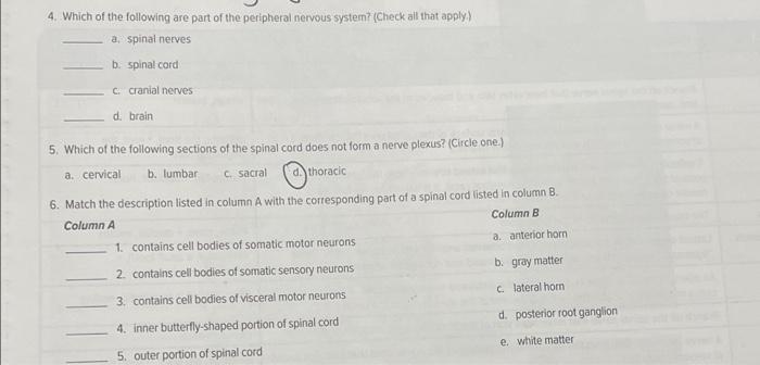 Solved 4. Which of the following are part of the peripheral | Chegg.com