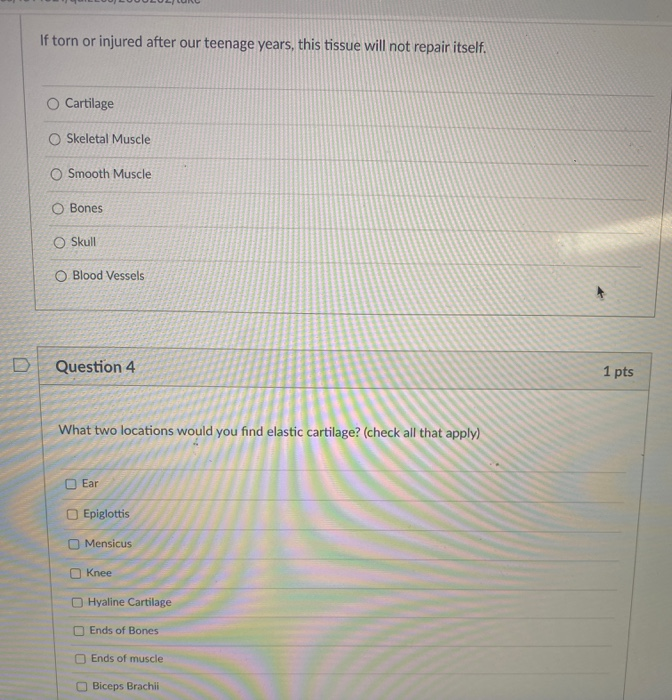 Solved If torn or injured after our teenage years, this | Chegg.com