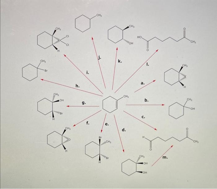Solved complete the attached Alkene Reaction Map by filling | Chegg.com