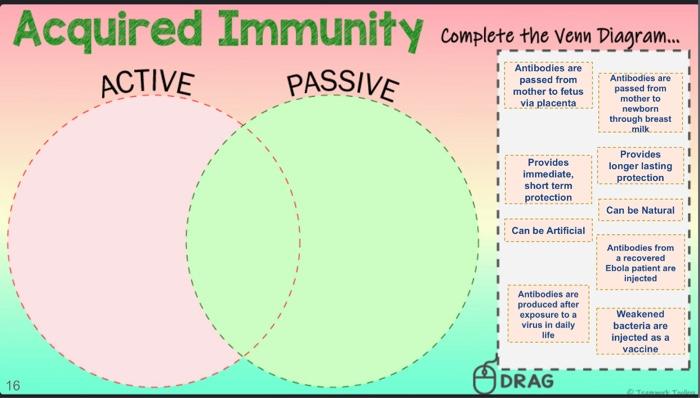 Solved Defense Systems INNATE ADAPTIVE Complete the Venn | Chegg.com