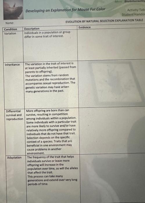 Solved Natural Selection and the Rock Pocket Mice For rock | Chegg.com