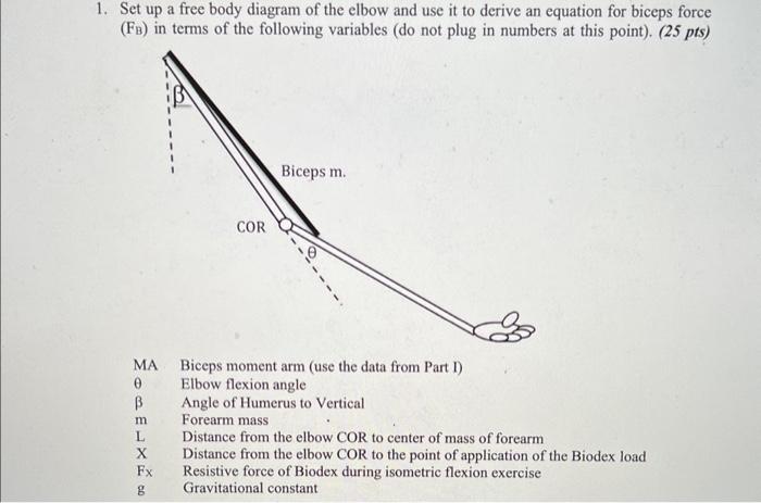 3. Set up a free body diagram of the elbow for the | Chegg.com