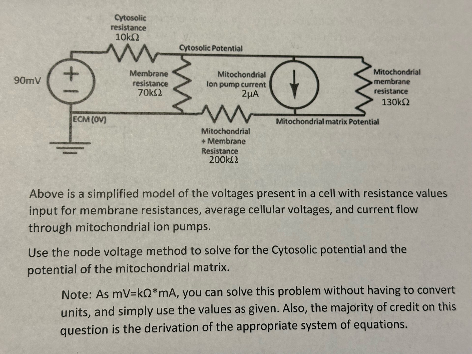 Solved Above is a simplified model of the voltages present | Chegg.com