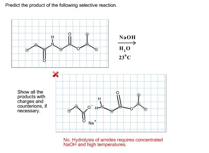Solved Predict the product of the following selective | Chegg.com