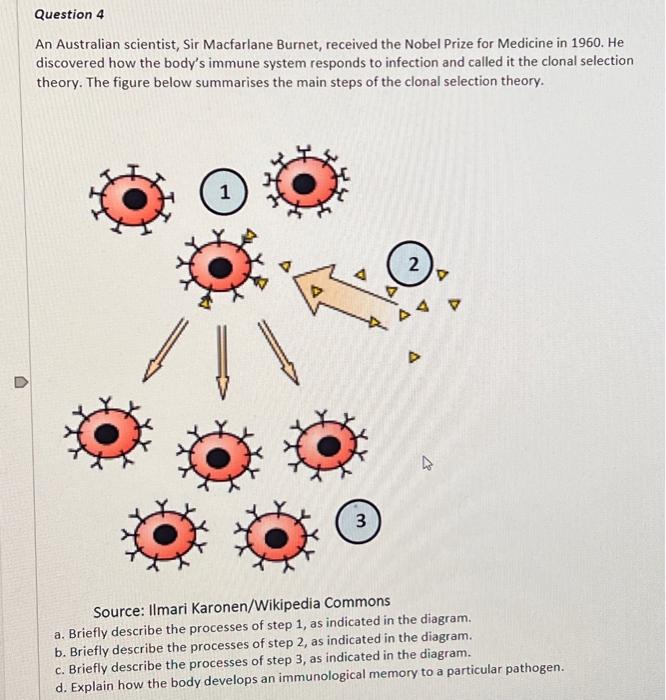 Solved An Australian scientist, Sir Macfarlane Burnet, | Chegg.com