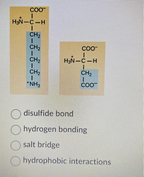 Solved What side chain chain interaction would occur between | Chegg.com