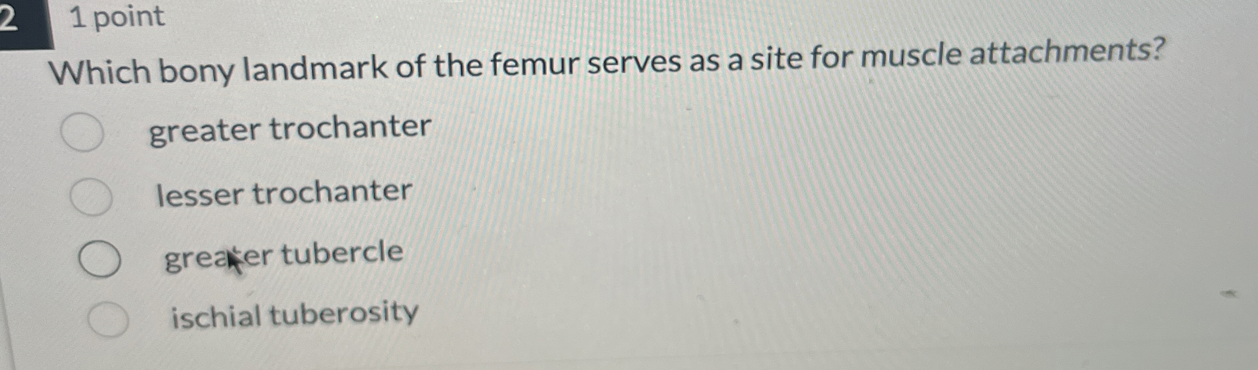 Solved 1 ﻿pointWhich bony landmark of the femur serves as a | Chegg.com