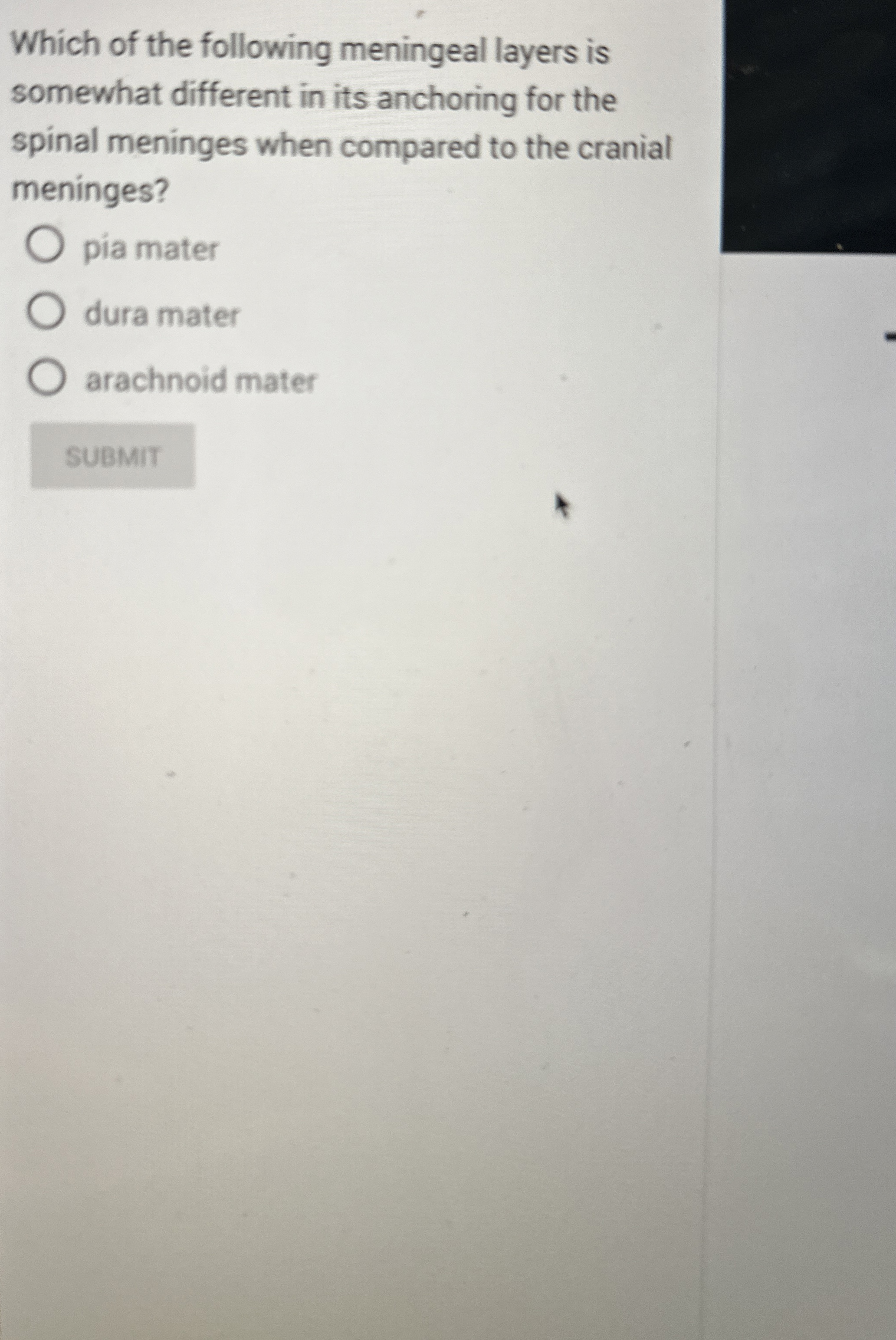Solved Which of the following meningeal layers issomewhat | Chegg.com
