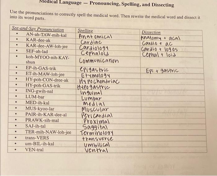 Solved . . . . . . . Language - Pronouncing, Spelling, and | Chegg.com