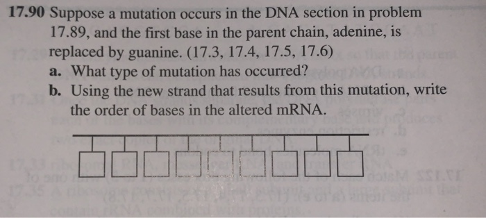 Solved 17 90 Suppose A Mutation Occurs In The Dna Section In