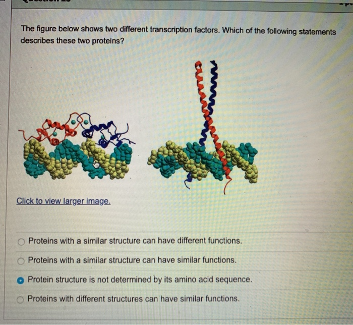 Solved The figure below shows two different transcription | Chegg.com Solved The figure below shows two different transcription | Chegg.com