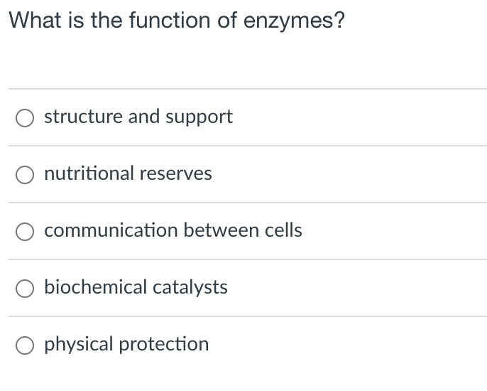 Solved What is the function of enzymes?structure and | Chegg.com
