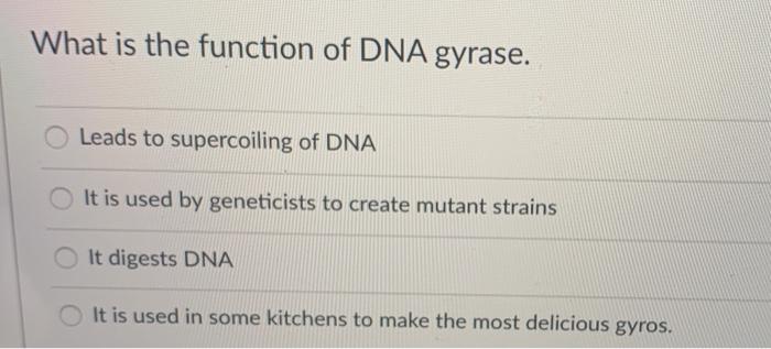 Solved What is the function of DNA gyrase. Leads to | Chegg.com