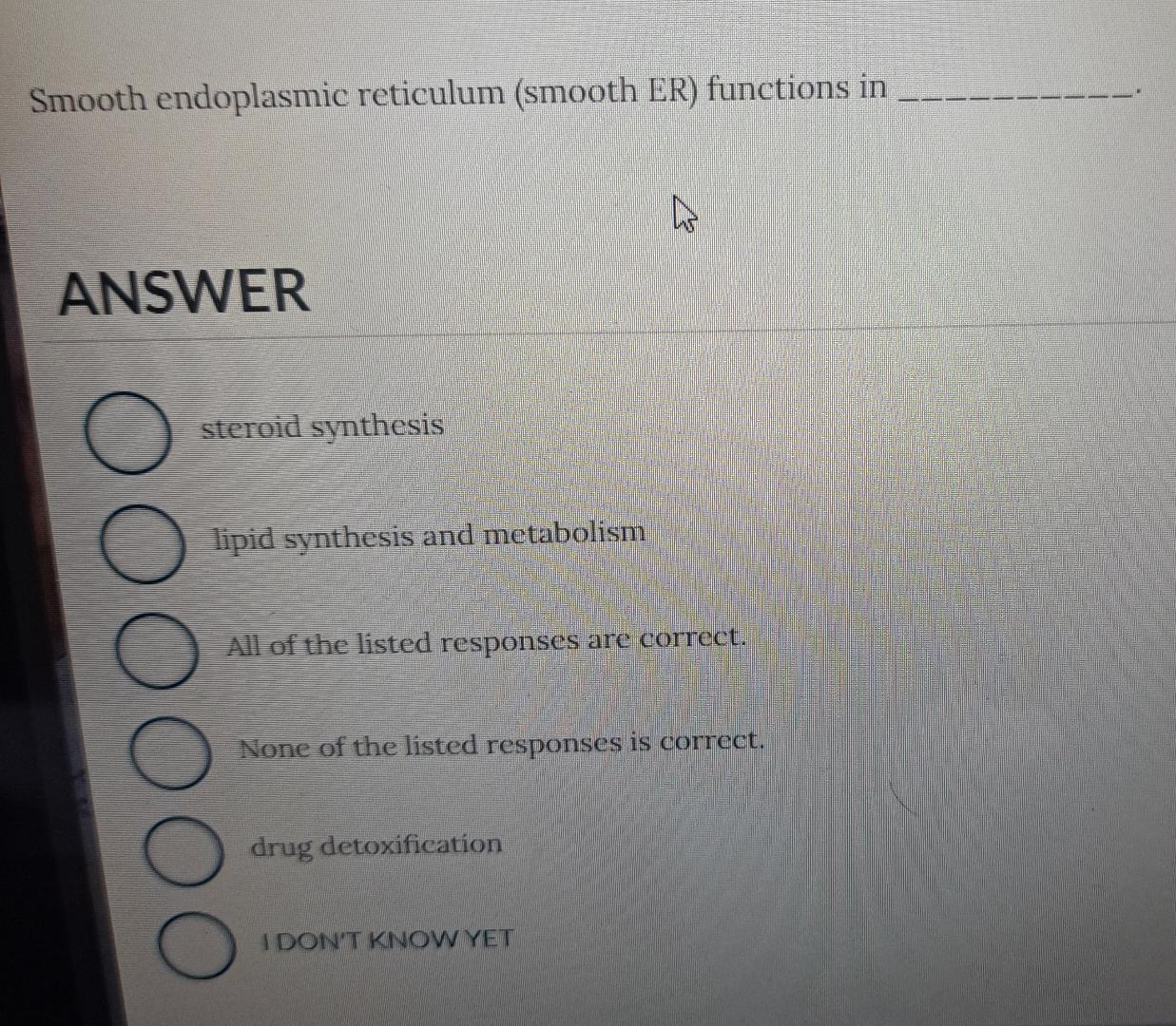 Solved Smooth endoplasmic reticulum (smooth ER) ﻿functions | Chegg.com
