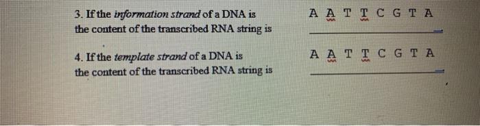 Solved A A TTC GTA 3. If the information strand of a DNA is | Chegg.com