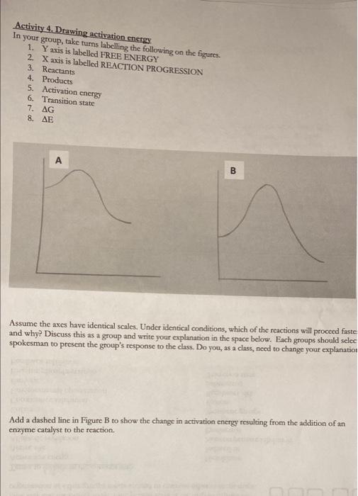 Solved Activity 4. Drawing activation energy In your group, | Chegg.com