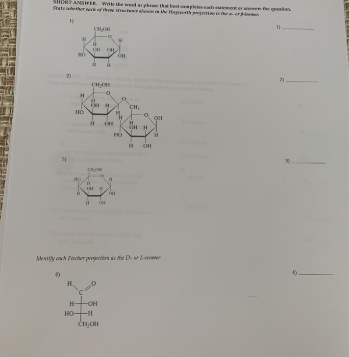 Solved SHORT ANSWER. Write the word or phrase that best | Chegg.com Solved SHORT ANSWER. Write the word or phrase that best | Chegg.com
