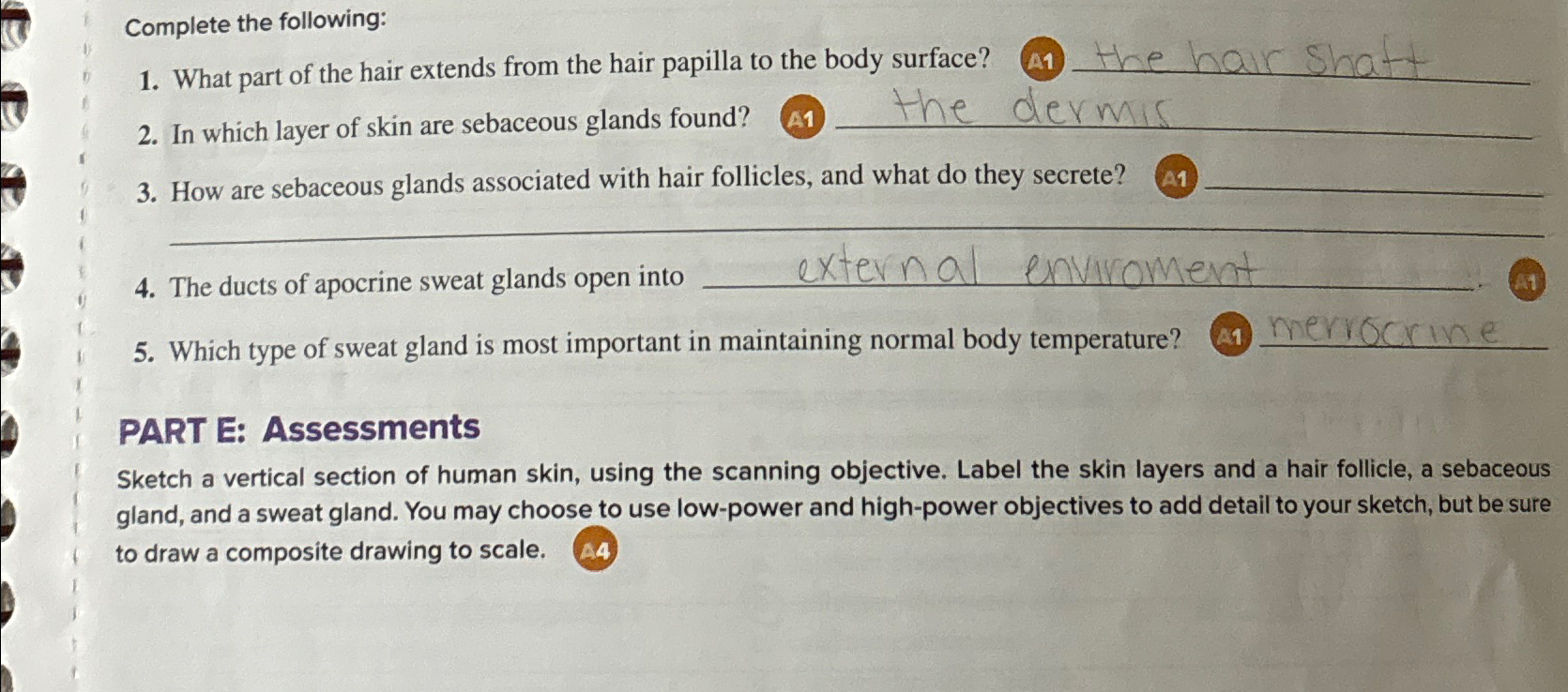 Solved Complete the following:What part of the hair extends | Chegg.com