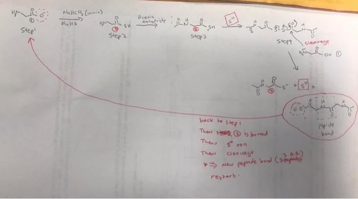 Solved please explain the mechanism of following reaction in | Chegg.com Solved please explain the mechanism of following reaction in | Chegg.com