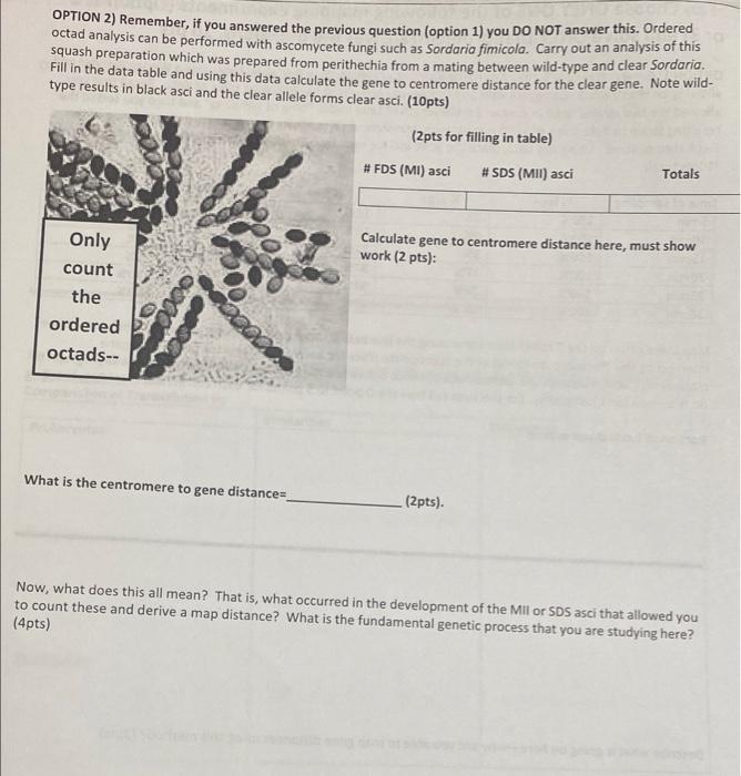 octad analysis can be performed with ascomycete fungi | Chegg.com