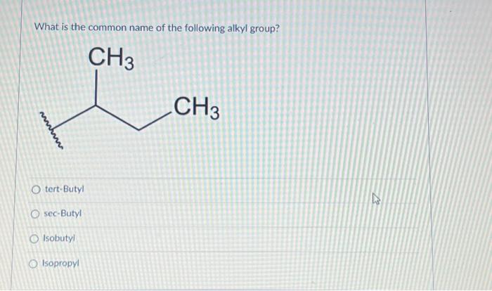 Solved What is the common name of the following alkyl group? | Chegg.com