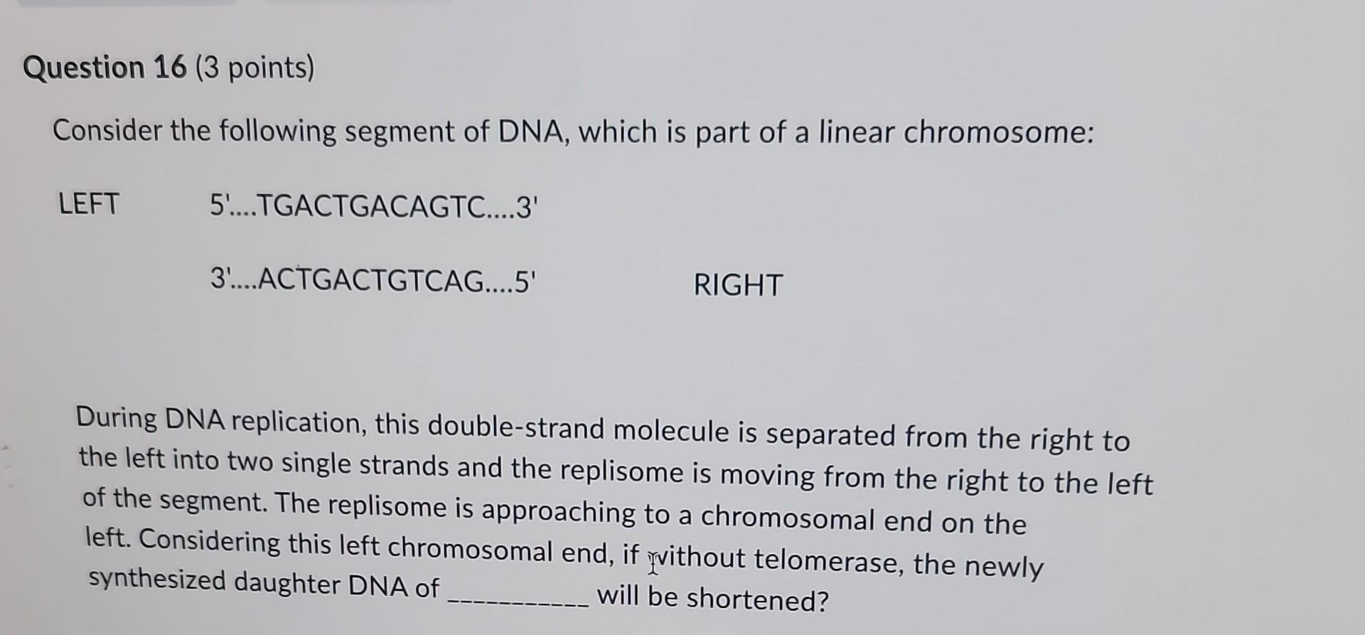 Solved Consider the following segment of DNA, which is part | Chegg.com