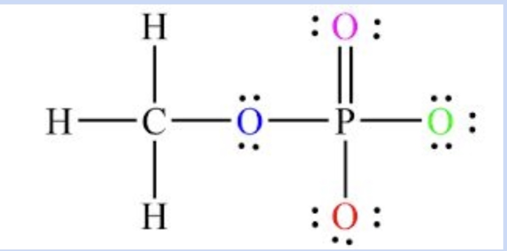 Solved is this molecules functional group: ether, phosphate, | Chegg.com