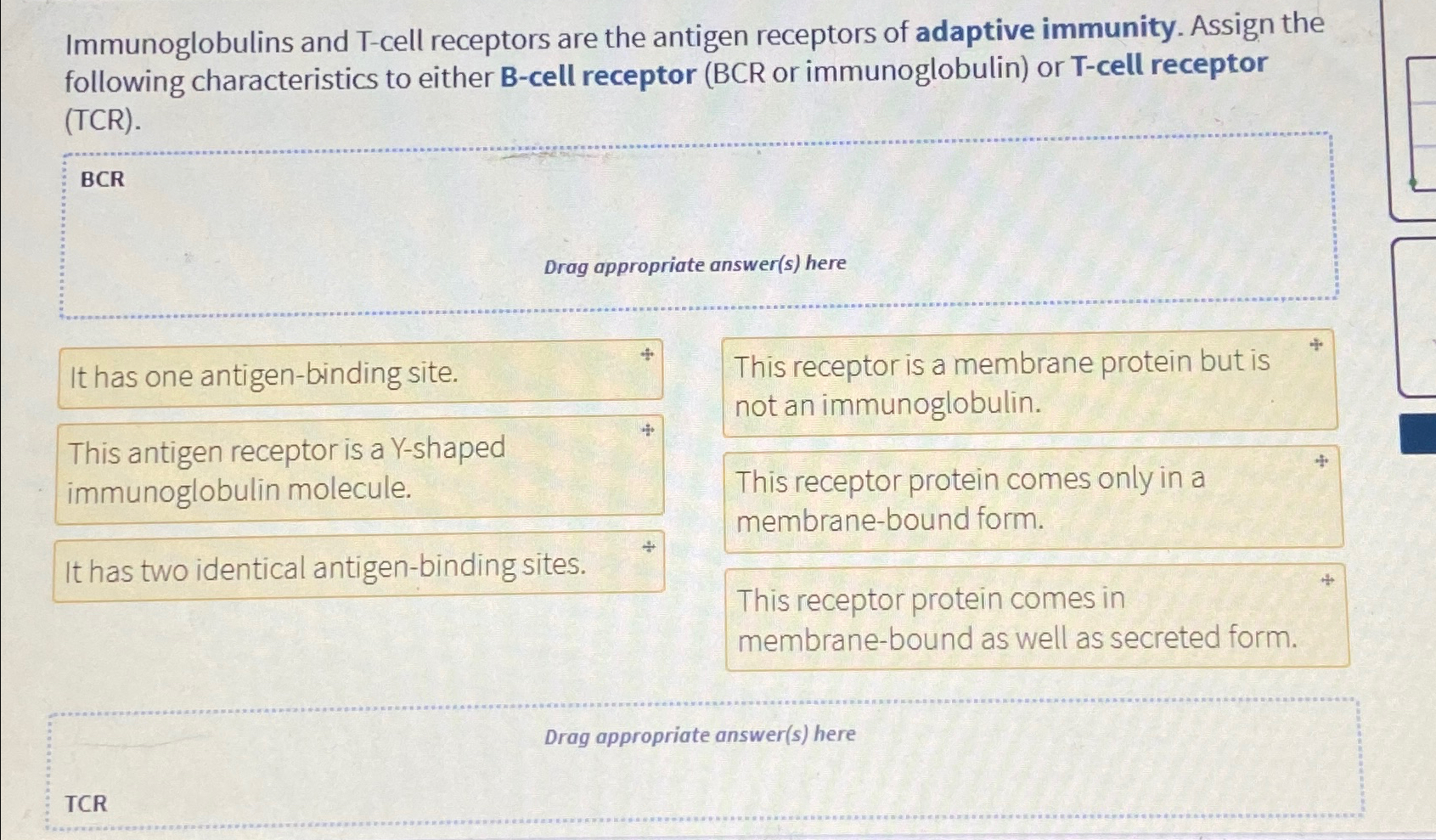 Solved Immunoglobulins and T-cell receptors are the antigen | Chegg.com