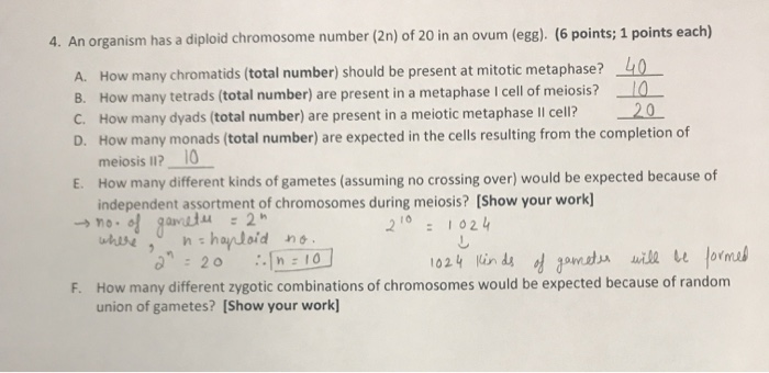 Solved 4. An organism has a diploid chromosome number (2n) | Chegg.com