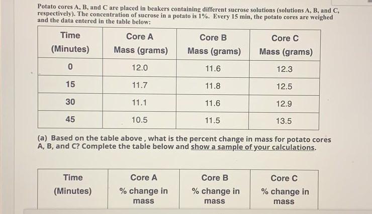 Solved Potato cores A, B, and C are placed in beakers | Chegg.com